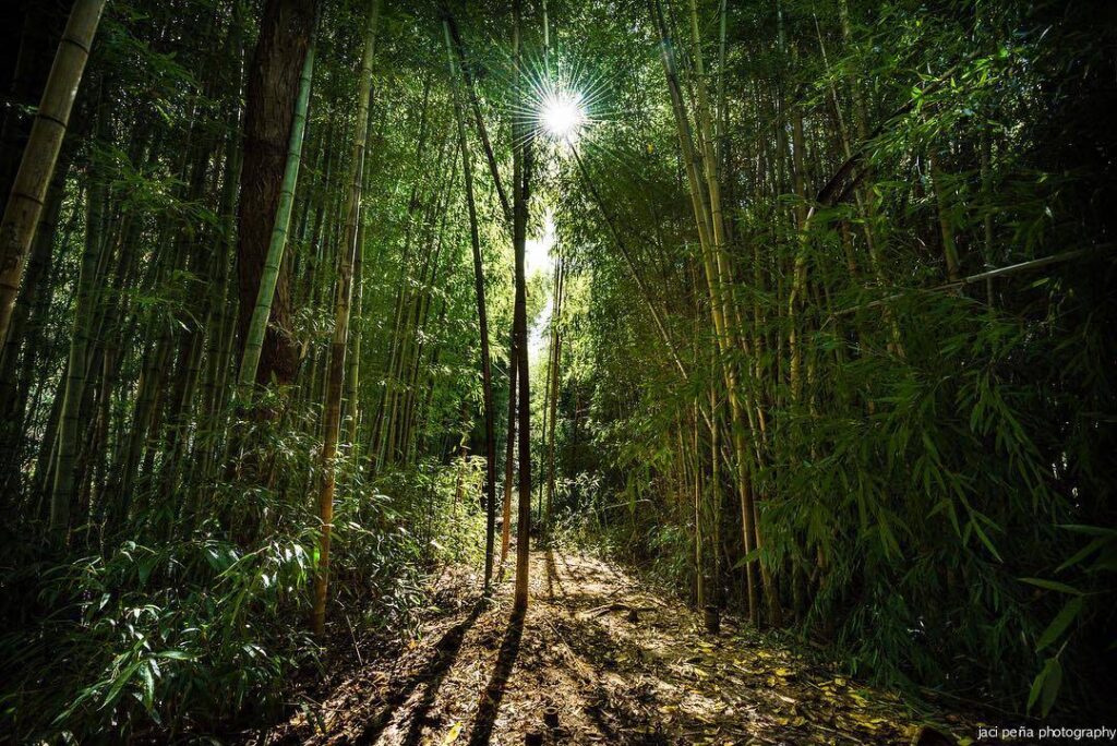 9 Things to Do in Cherokee This Fall & Winter | Visit Cherokee NC