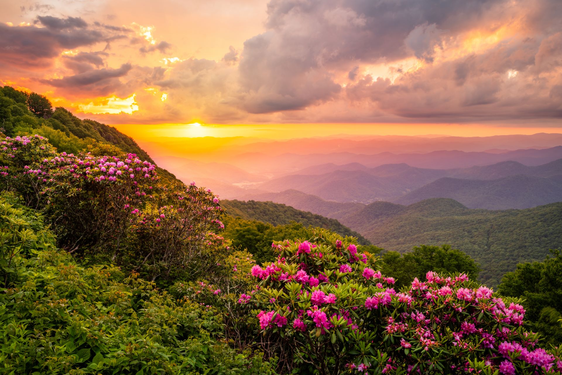 The Best Seasonal Hiking Trails in the Smoky Mountains | Visit Cherokee