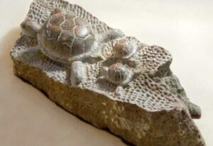 Artists | Visit Cherokee NC