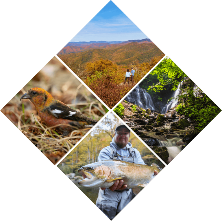 19 Inspiring Quotes on Cherokee Heritage and Culture | Visit Cherokee NC