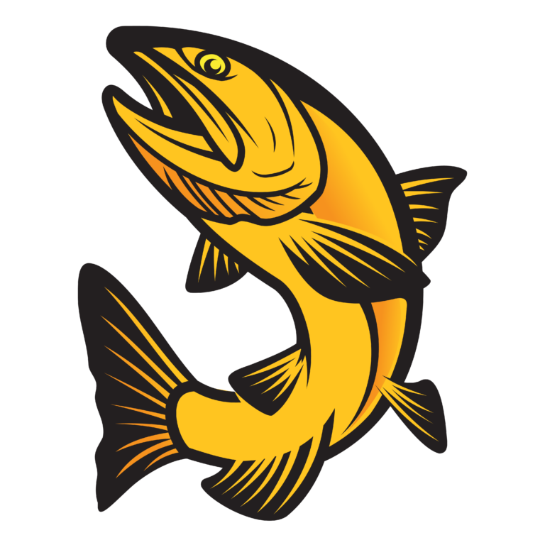 Catch a Rare Golden Trout | Visit Cherokee, NC